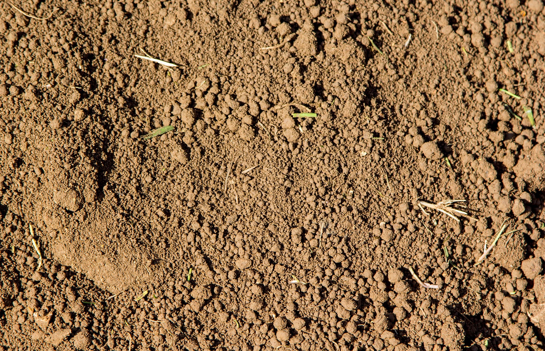 Screened Topsoil - The Gravel Company